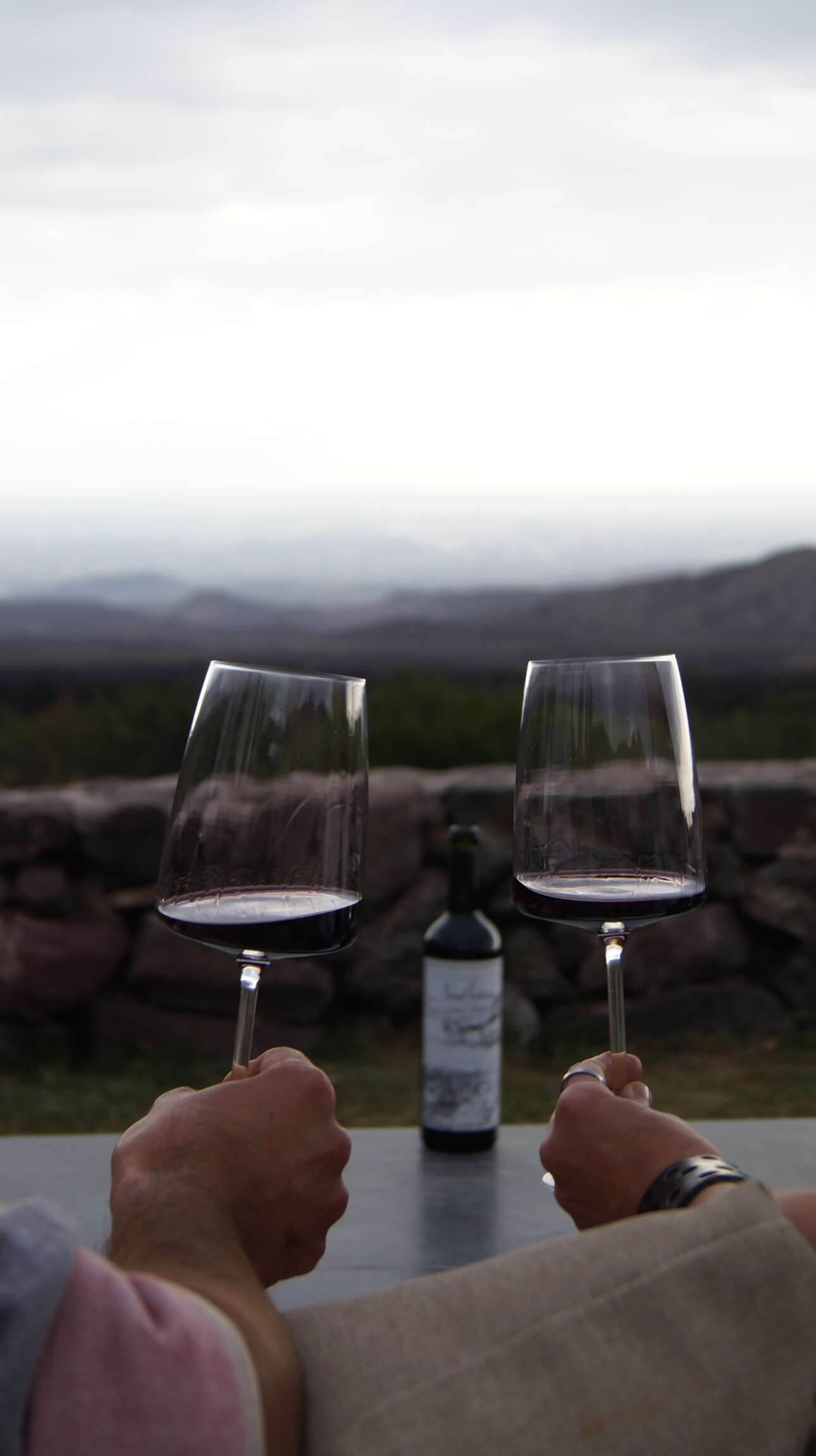 Isidris, el tesoro gastronómico del piedemonte mendocino - Inmendoza